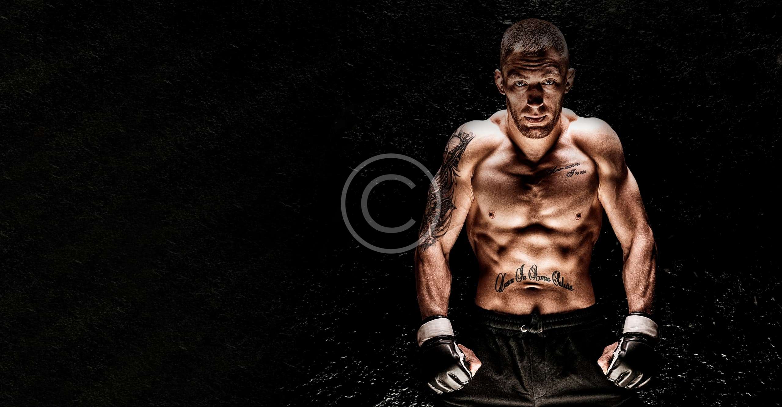 Home MMA – Learn2fightworldwide